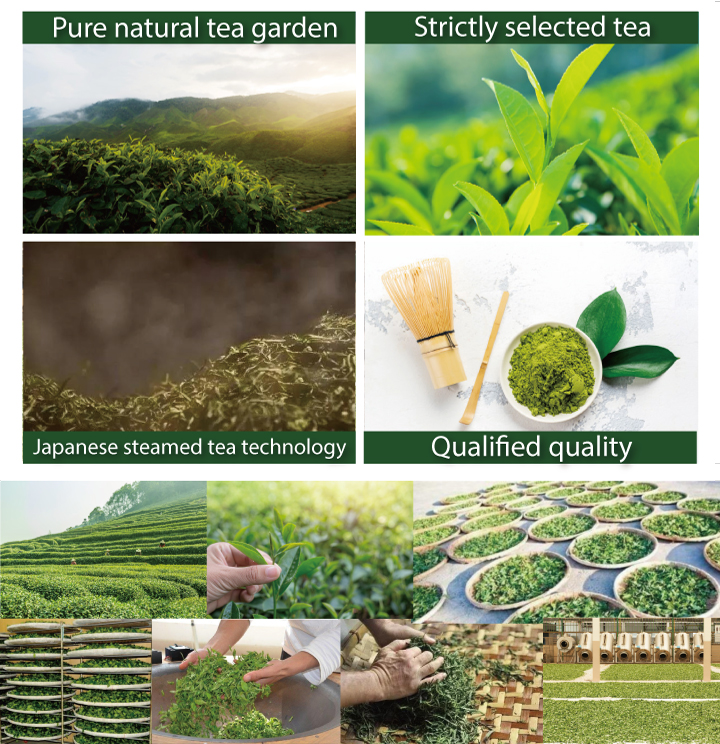 Japan Shizuoka Matcha Powder – LI CHENG BIOTECHNOLOGY CO., LTD.